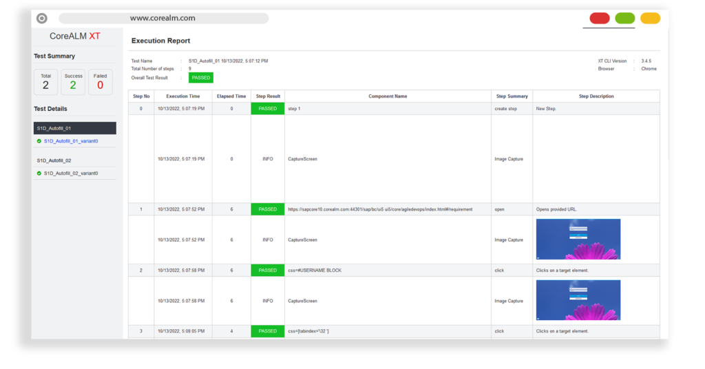 Functional Testing (Web based testing) - SAP and Non-SAP - CoreALM